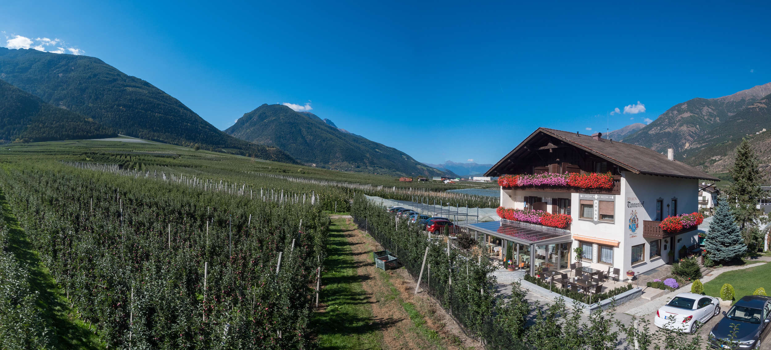 Urlaub in Latsch - Pension Tannenhof