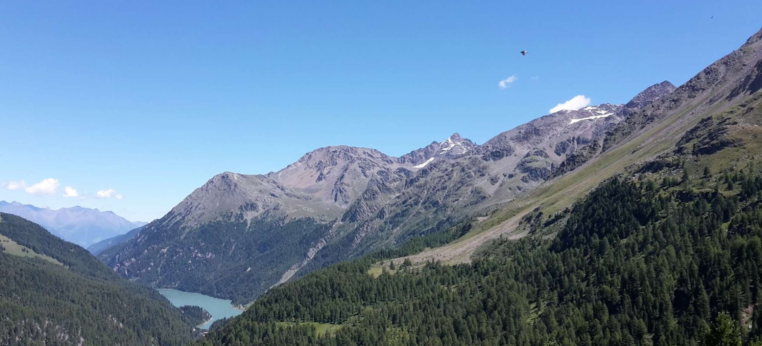 Vinschgau - Urlaub im Vinschgau in Südtirol - Pension Tannenhof